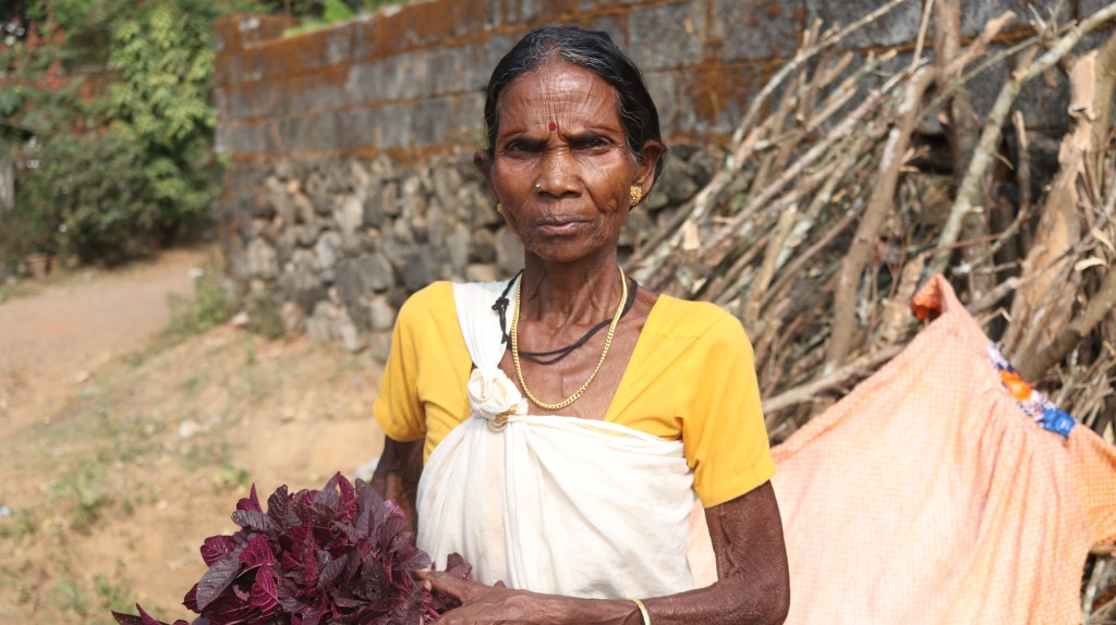 THE PANIYARS- A TRIBE FROM THE HILLS OF WAYANAD – chime.in.the.void